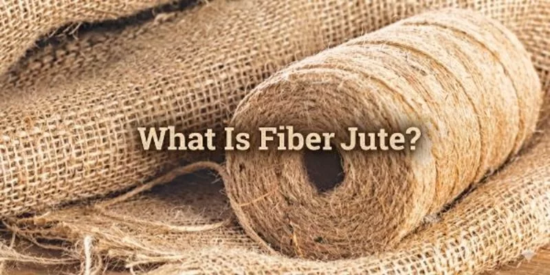 What Is Jute Fiber? Extreme Strength & 100% Biodegradability